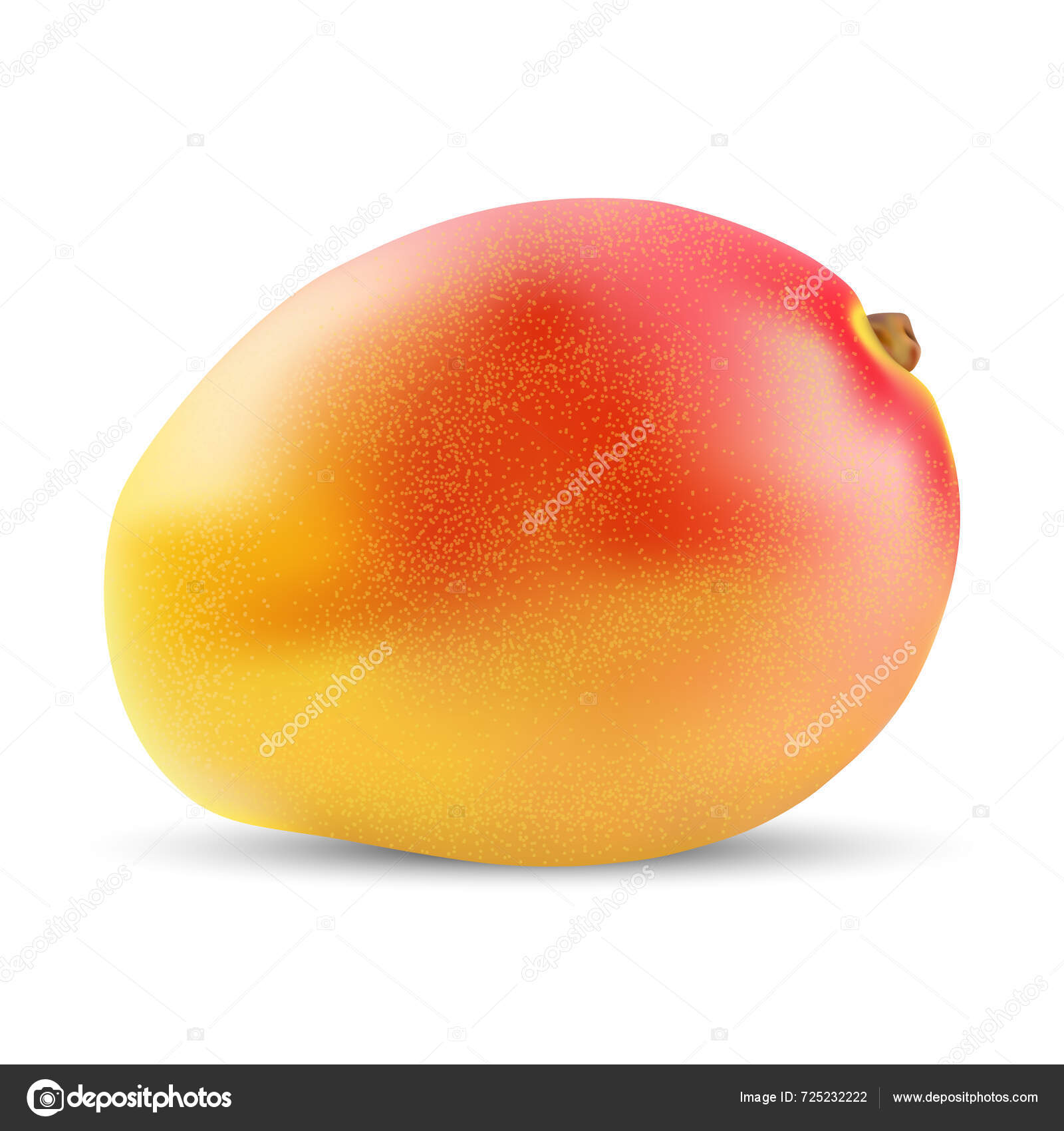 Vector Illustration Realistic Fruit Mango Isolated White Background ...