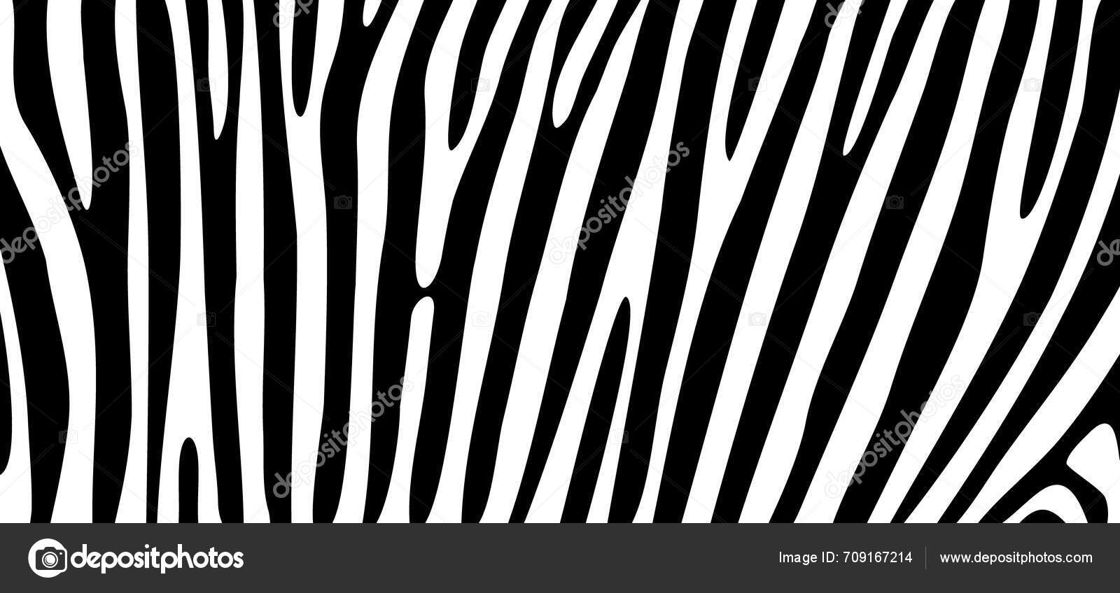 Cartoon Black White Safari Zebra Line Pattern Zebra Print Animal Stock ...