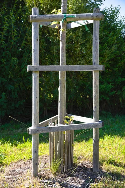 Deer fence Stock Photos, Royalty Free Deer fence Images | Depositphotos