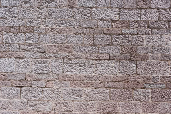 Brick wall made of beige shell rock. Repeating stone texture background ...