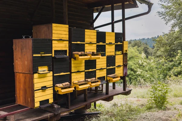 Hive modular home Stock Photos, Royalty Free Hive modular home Images ...