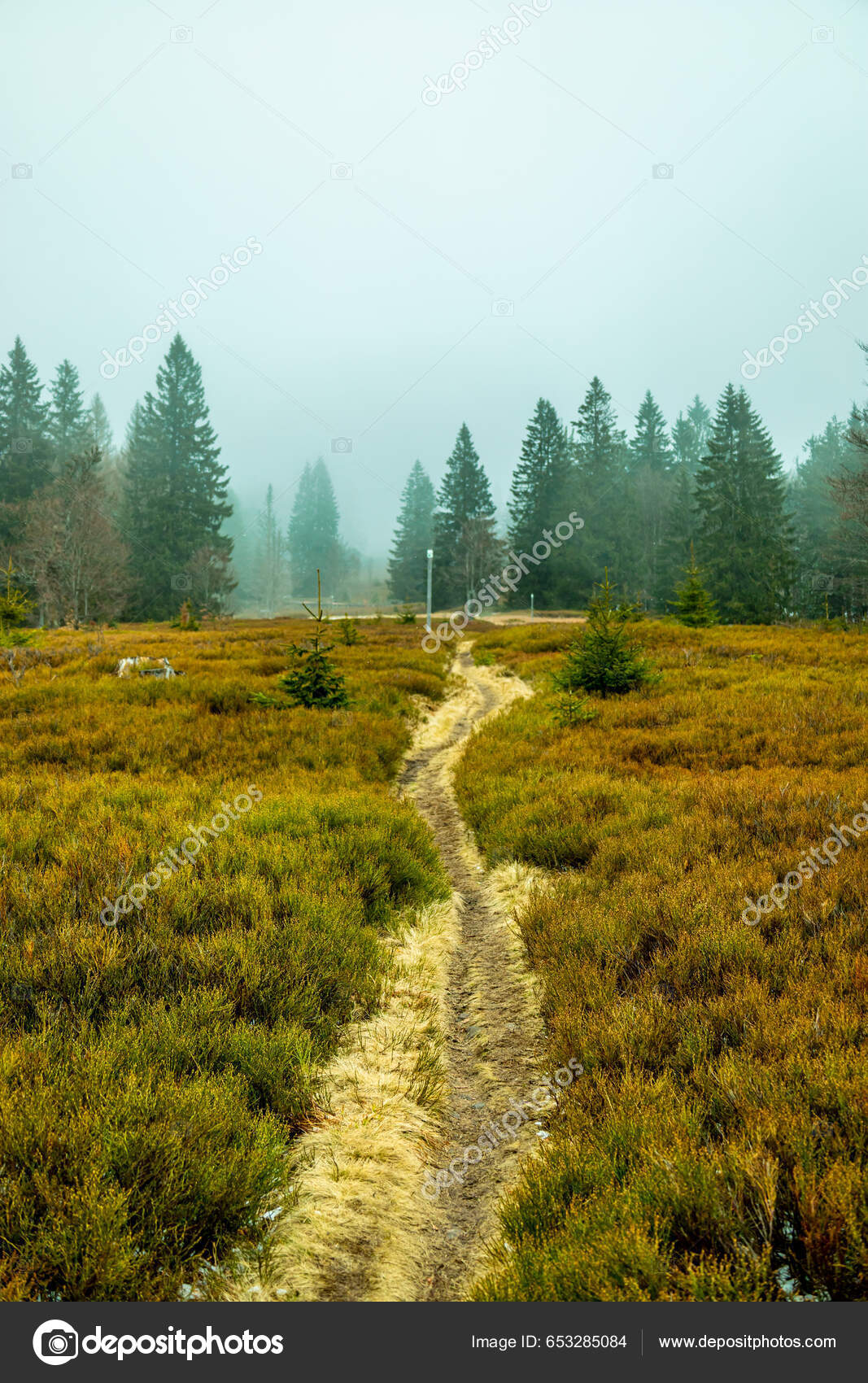 Spring Hike Bavarian Forest Zwieselter Fist Border Czech Republic ...