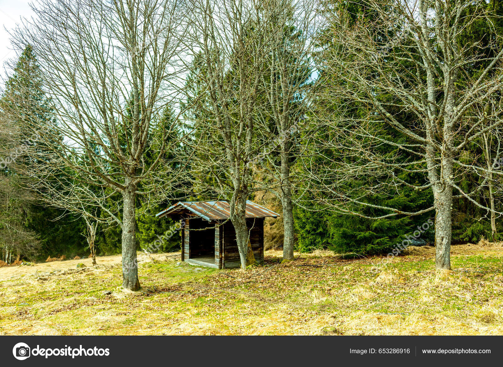 Spring Hike Bavarian Forest Zwieselter Fist Border Czech Republic ...