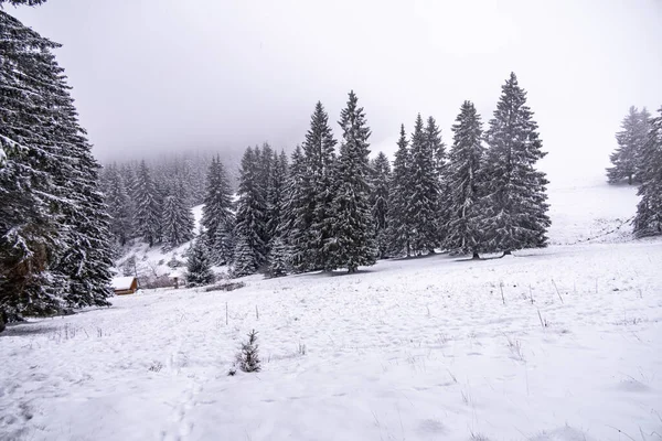 First winter hike through the snow-covered Thuringian Forest near ...