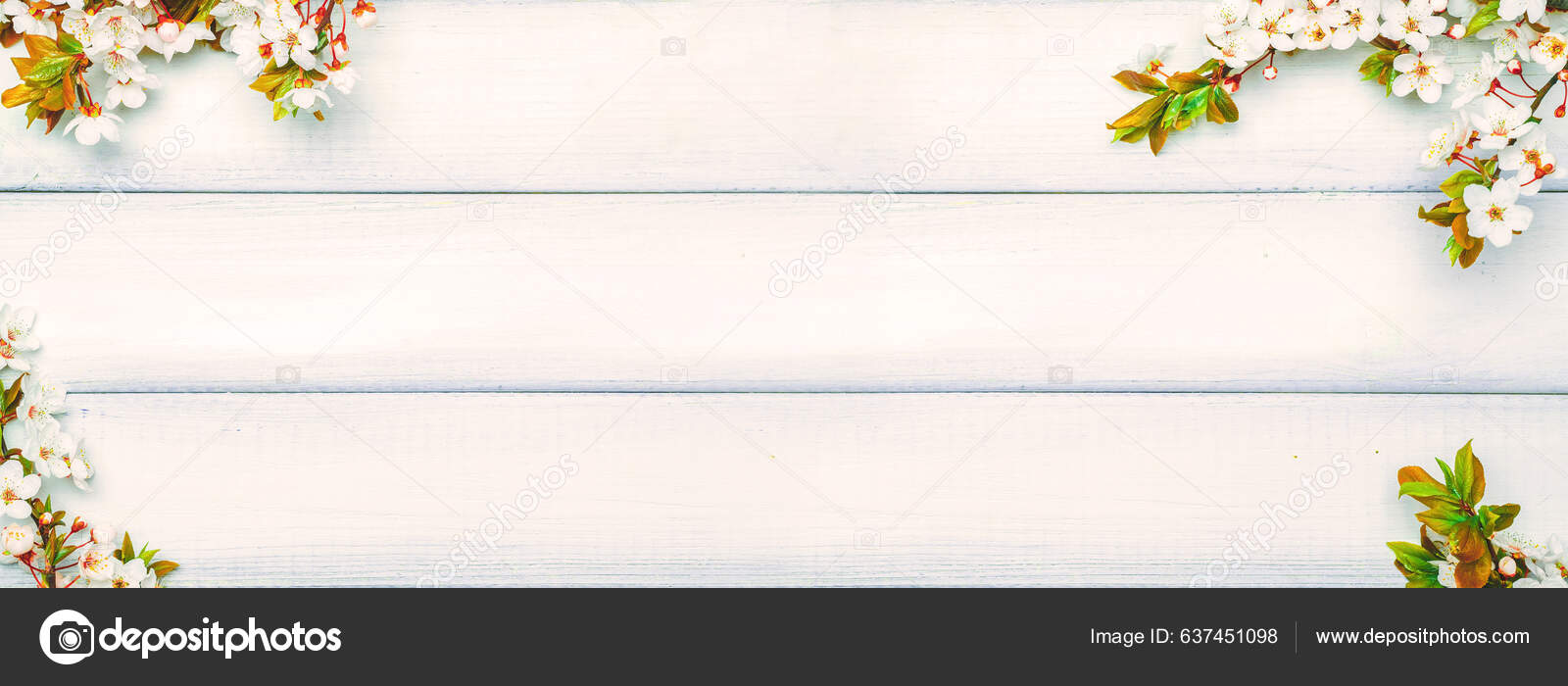 May Flowers Background