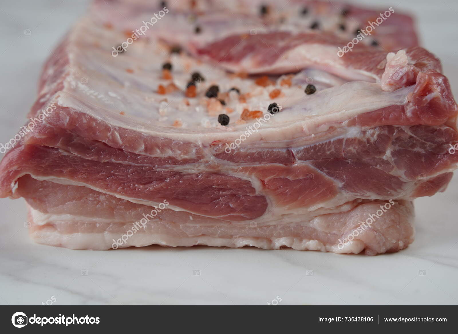 Whole Raw Pork Ribs Fresh Pork Meat Ingredients Spices Salt — Stock Photo © Nataly1973 #736438106