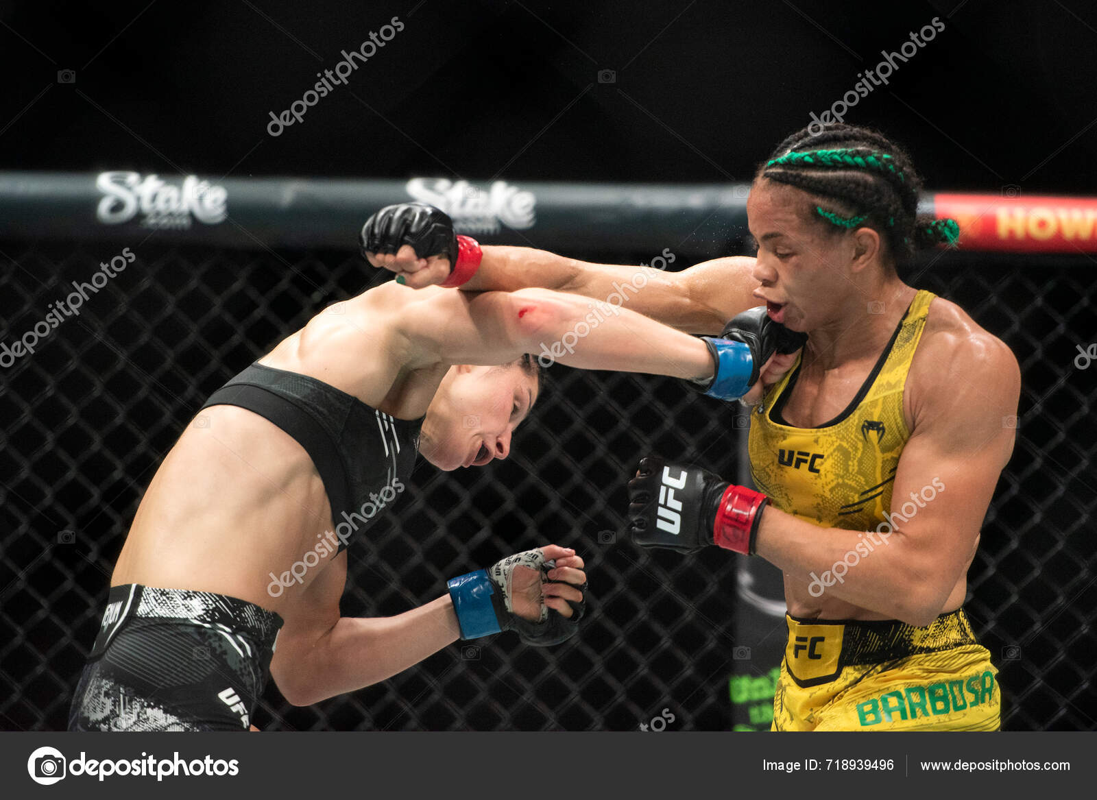 Rio Janeiro 2024 Ufc 301 Pantoja Erceg Lucha Entre Barbosa — Foto ...