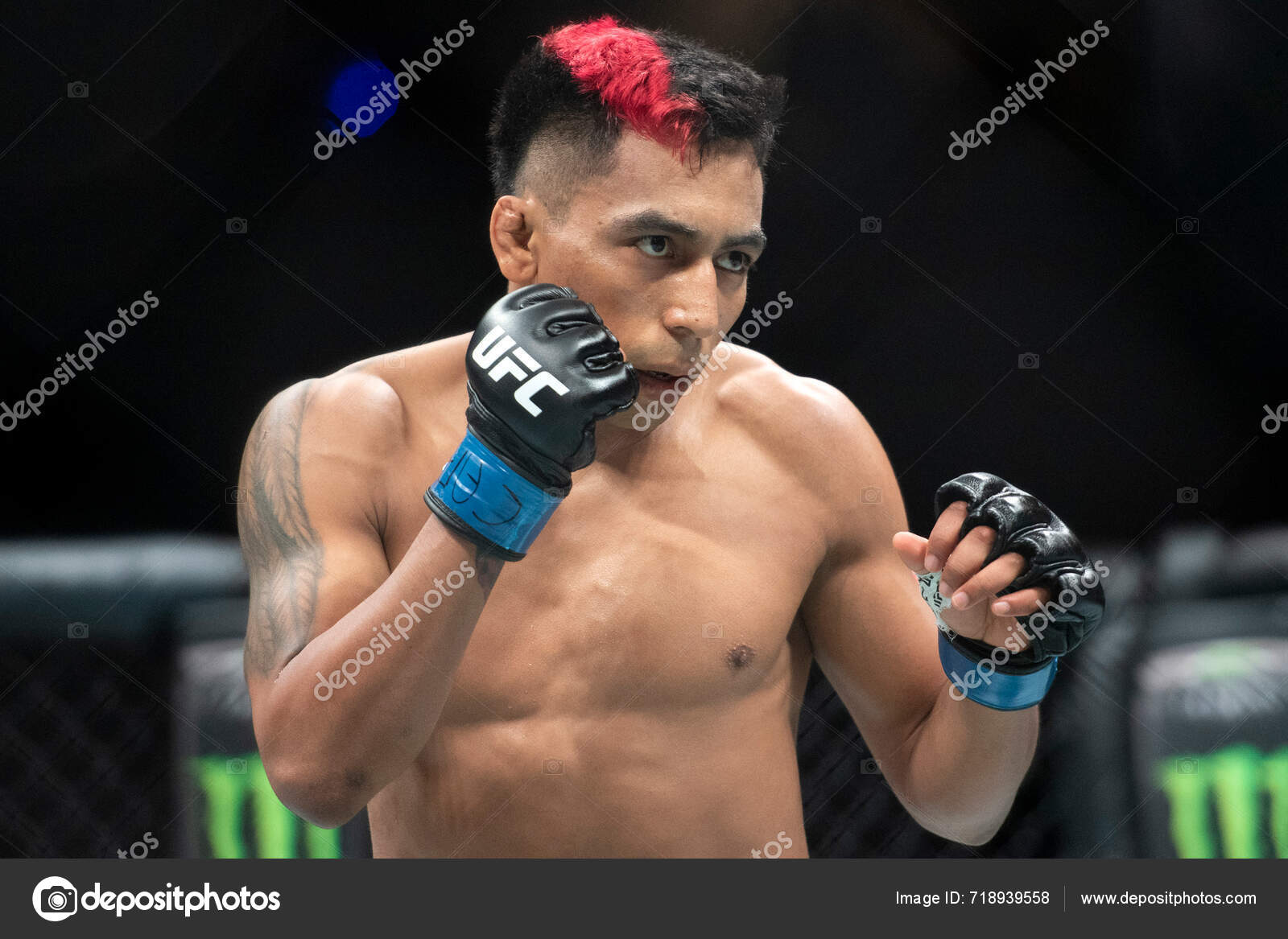 Rio Janeiro 2024 Ufc 301 Pantoja Erceg Lucha Entre Costas — Foto ...