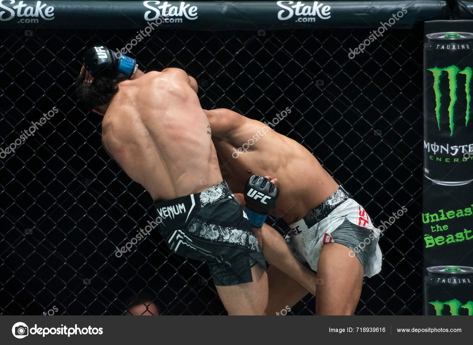 Rio Janeiro 2024 Ufc 301 Pantoja Erceg Lucha Entre Costas — Foto ...