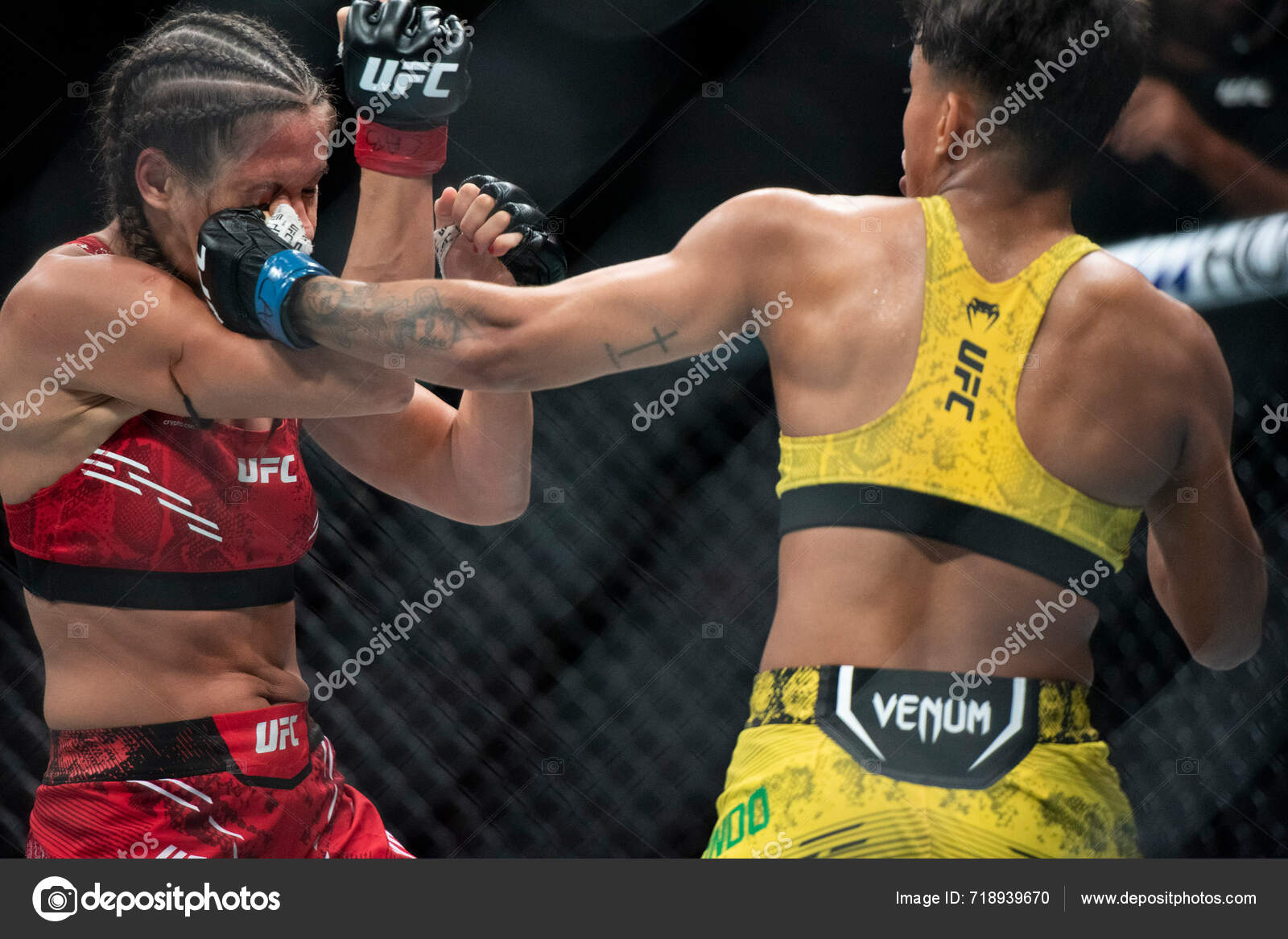 Rio Janeiro 2024 Ufc 301 Pantoja Erceg Lucha Entre Kowalkiewicz — Foto ...