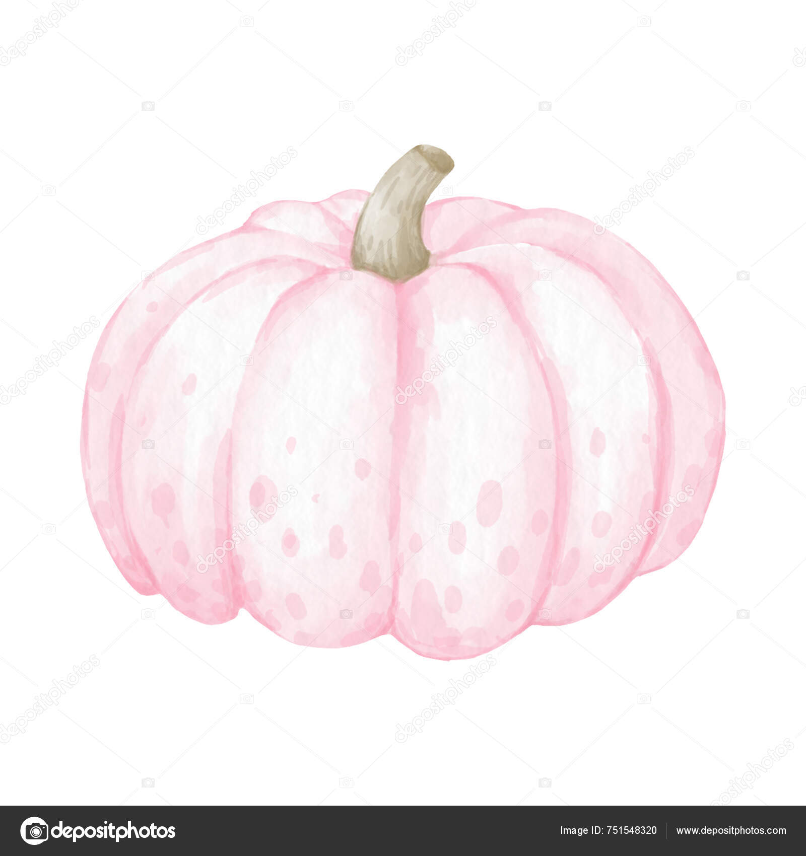 Calabaza Rosa Linda Ilustración Acuarela Sobre Fondo Blanco Colores ...