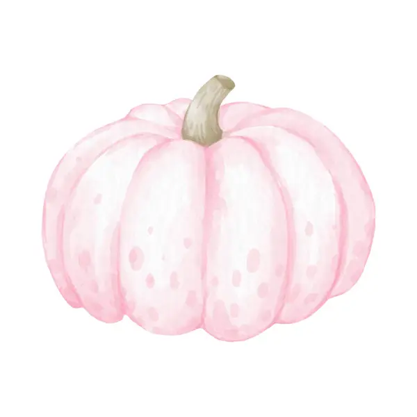 6,000,000+ imágenes de Pumpkins vector png pink libres de derechos ...