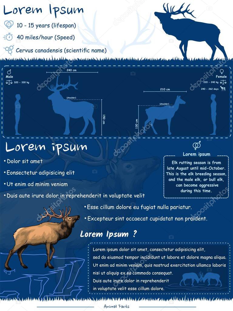 Anatomía de ciervos. Diagrama que muestra partes de un alce. infografía ...