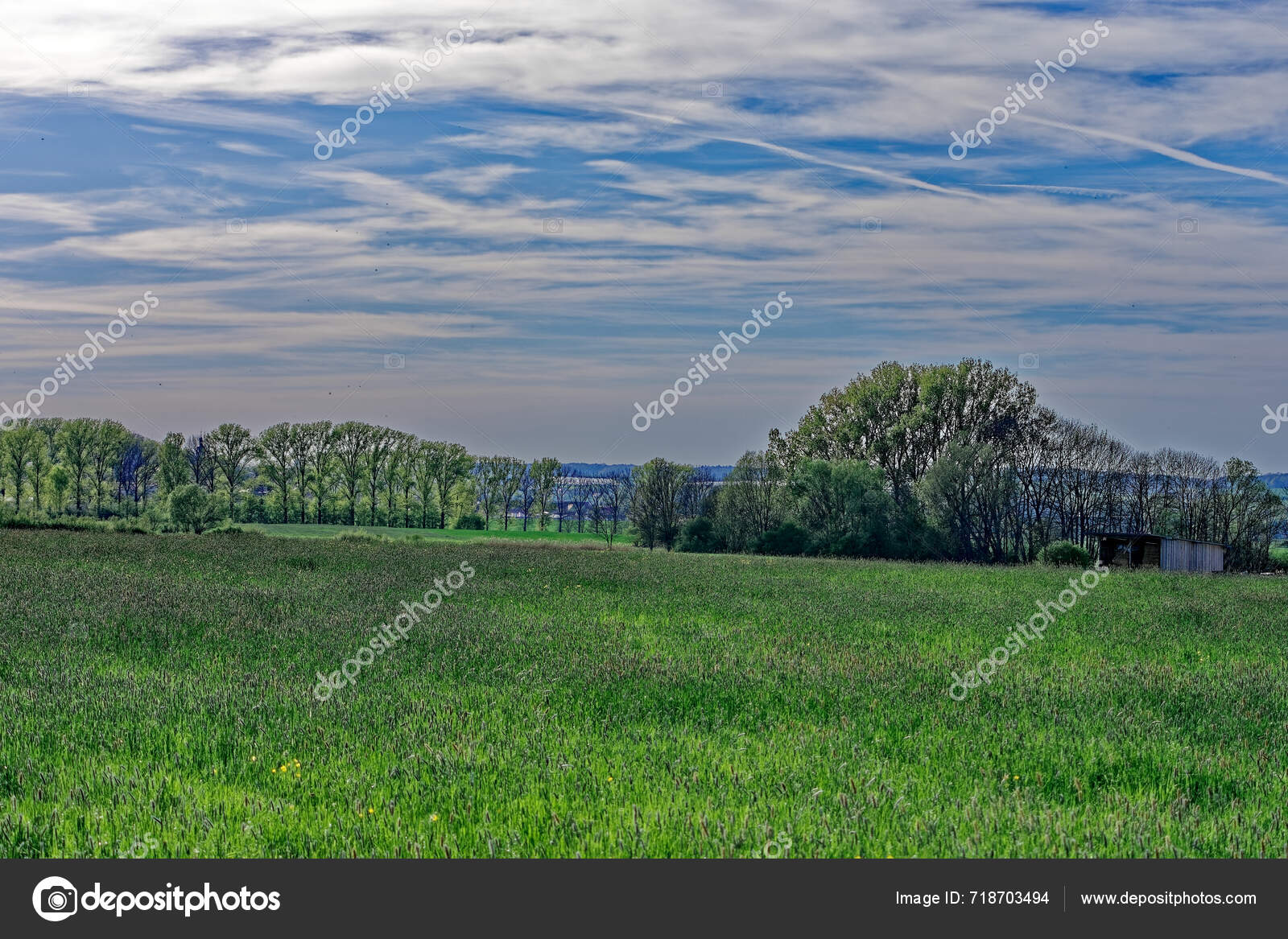Beautiful Spring Fields Bavaria — Stock Photo © Spellmoon #718703494