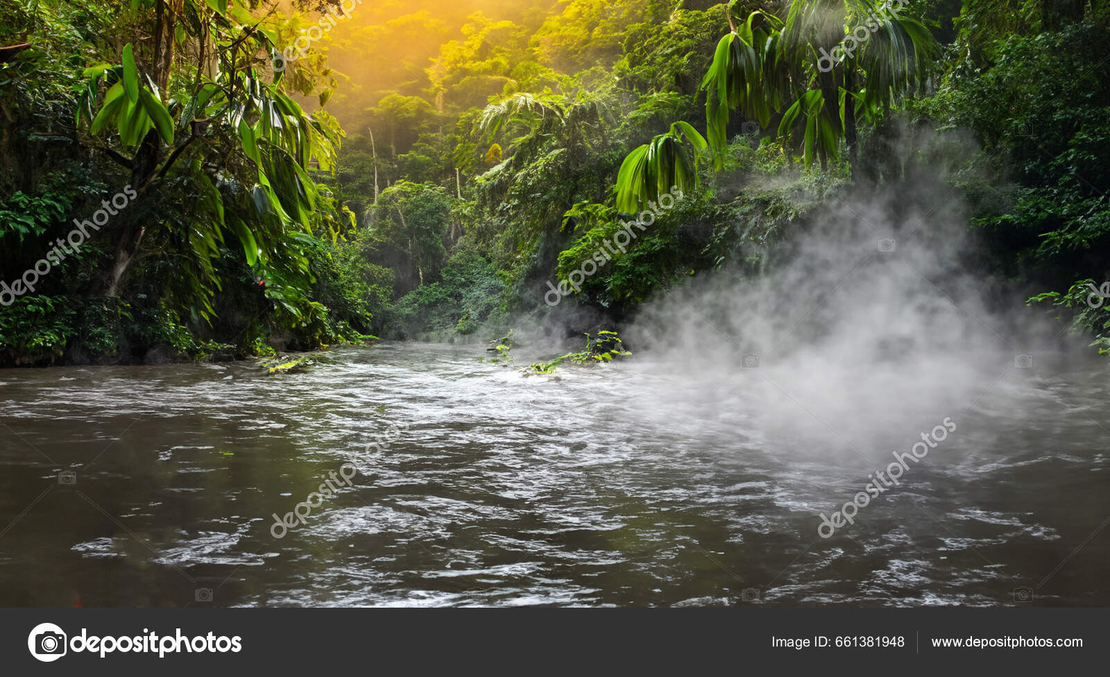 Beautiful Amazon River Ray Sun Background High Definition — Stock Photo ...