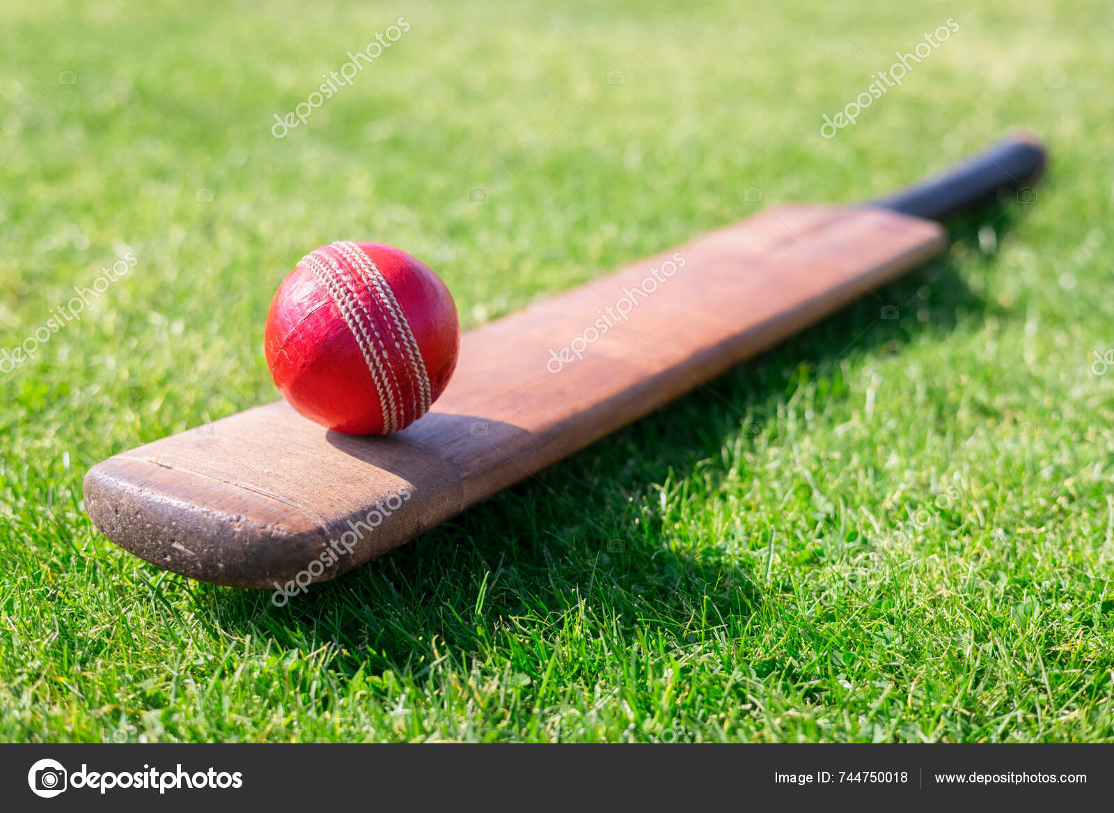Cricket Ball Cricket Bat Green Grass Cricket Ground — Stock Photo ...