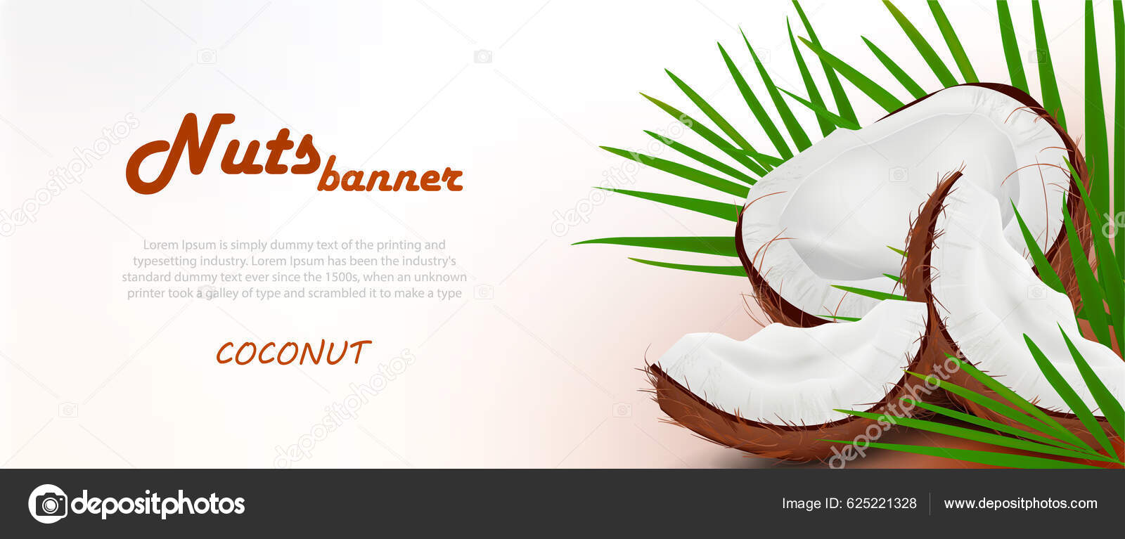 Vector Example Horizontal Banner Coconut Particles Leaves Light ...