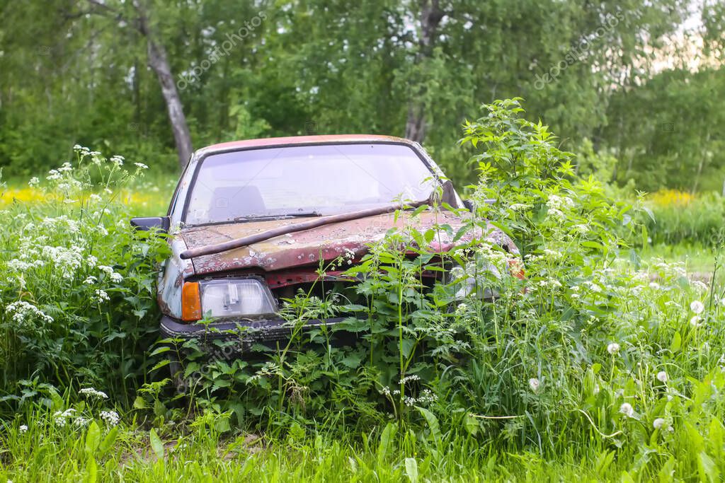 Auto abandonado cubierto de plantas silvestres de ortiga. 2024