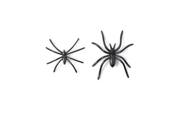 Many spiders Stock Photos, Royalty Free Many spiders Images | Depositphotos