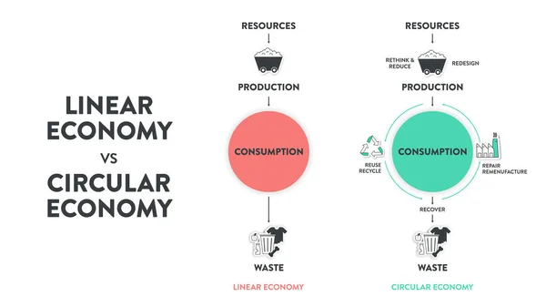 Vector Infographic Diagram Difference Circular Economy Linear Economy ...