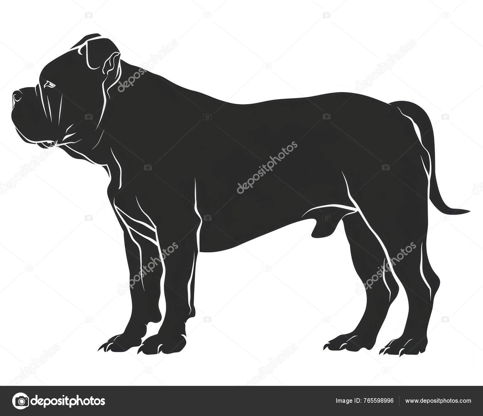 Silhouette Strong Muscular Dog Standing Proudly Showcasing Its Robust ...
