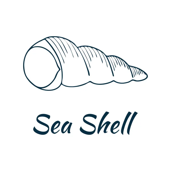 100,000 Seashell logo Vector Images | Depositphotos