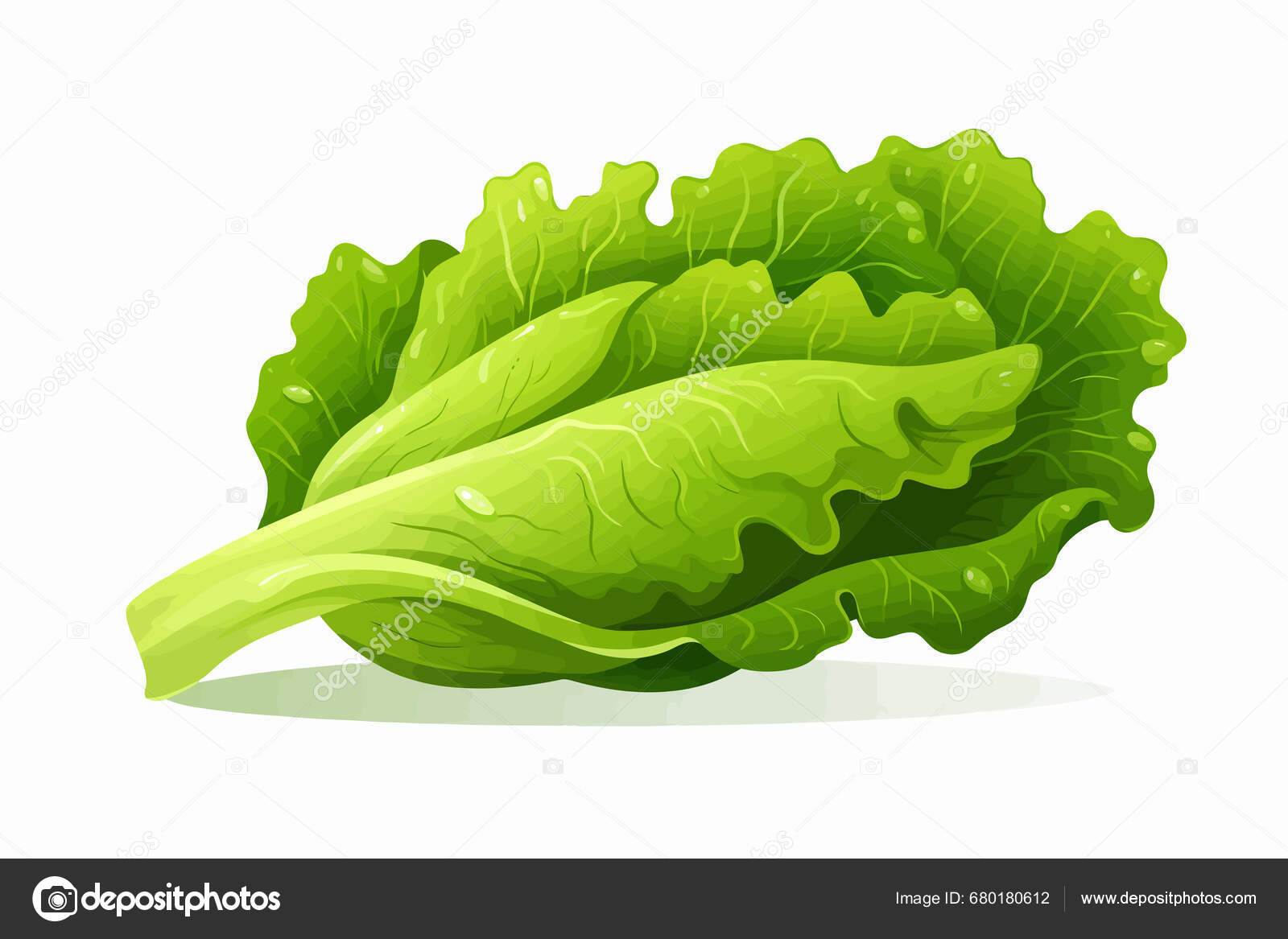 Lechuga Vector Plano Minimalista Aislado Vector Estilo Ilustración ...