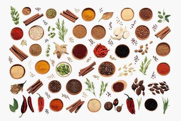 10,913,154 Indian spices drawing Vector Images | Depositphotos