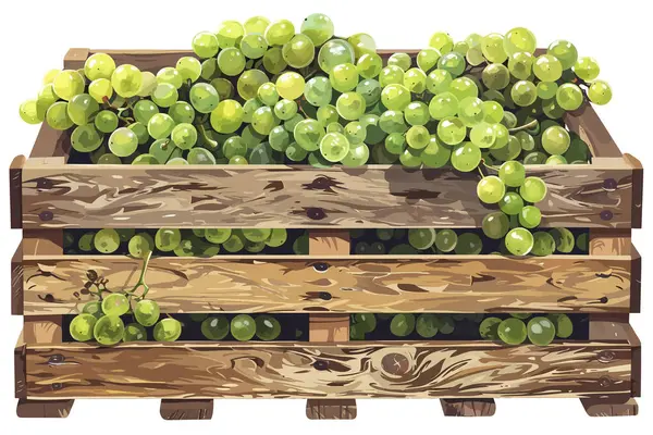 10,547,609 Grape vine pallet Vector Images | Depositphotos