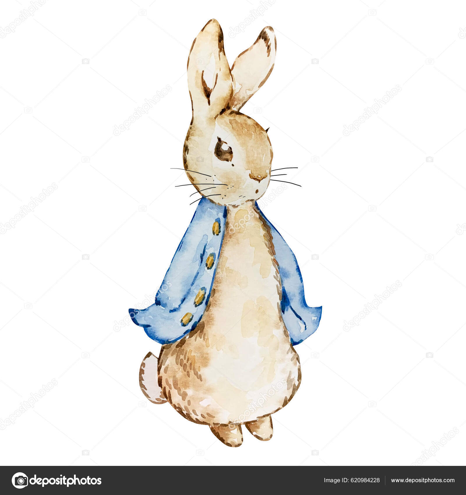 Watercolor Cute Rabbit Blue Jacket Card Design Print Stock Illustration ...