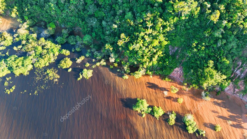 Río Amazonas en la selva amazónica. La selva tropical más grande del ...