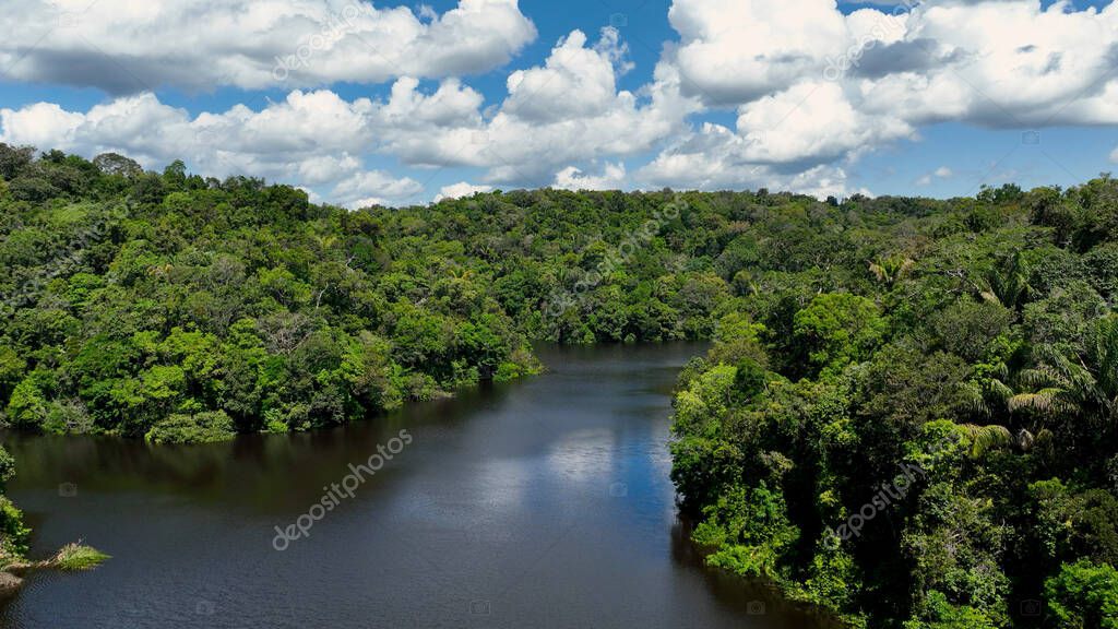 Río Amazonas en la selva amazónica. La selva tropical más grande del ...
