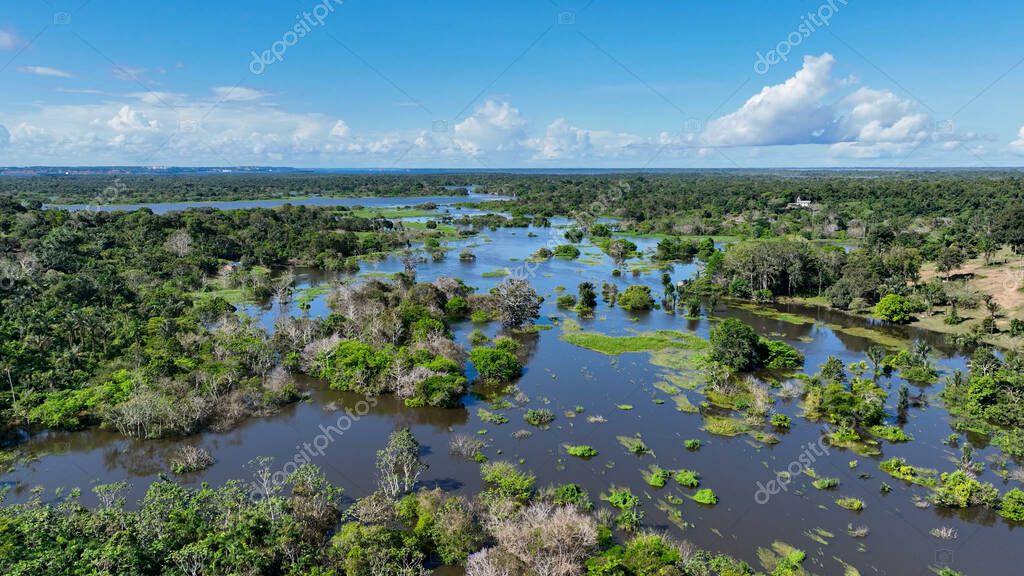 Restaurantes flotantes del río Amazonas en la selva amazónica. Manaus ...