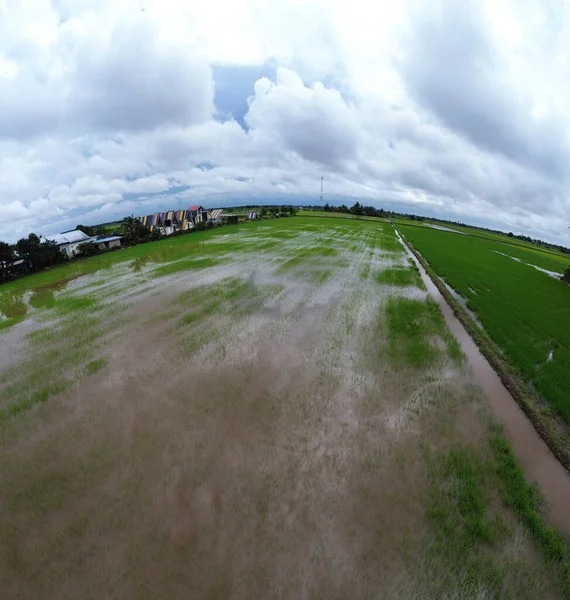 Rain farm Stock Photos, Royalty Free Rain farm Images | Depositphotos