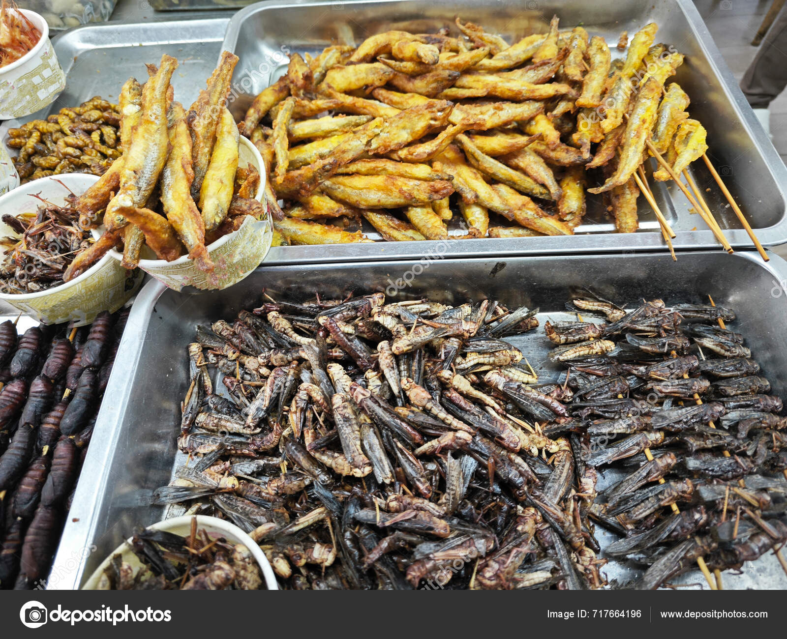 Scene Some Exotic Fried Insects Snack Streets Kunming China — Stock ...