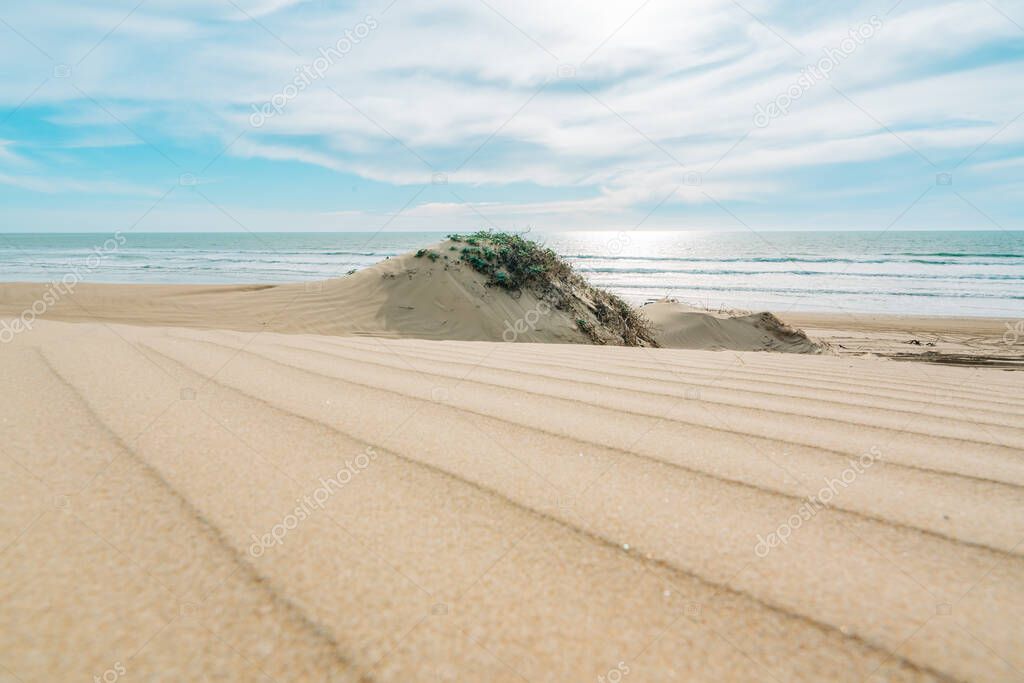 Dunas de arena en la orilla del océano Pacífico, y pasto de playa ...