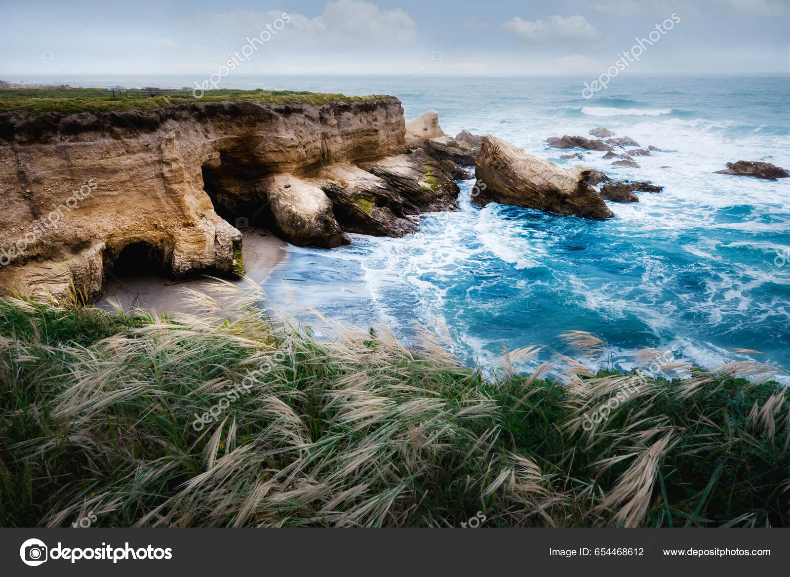 Dramatic Coastline Landscape Rocky Cliffs Pacific Ocean Native Plants ...