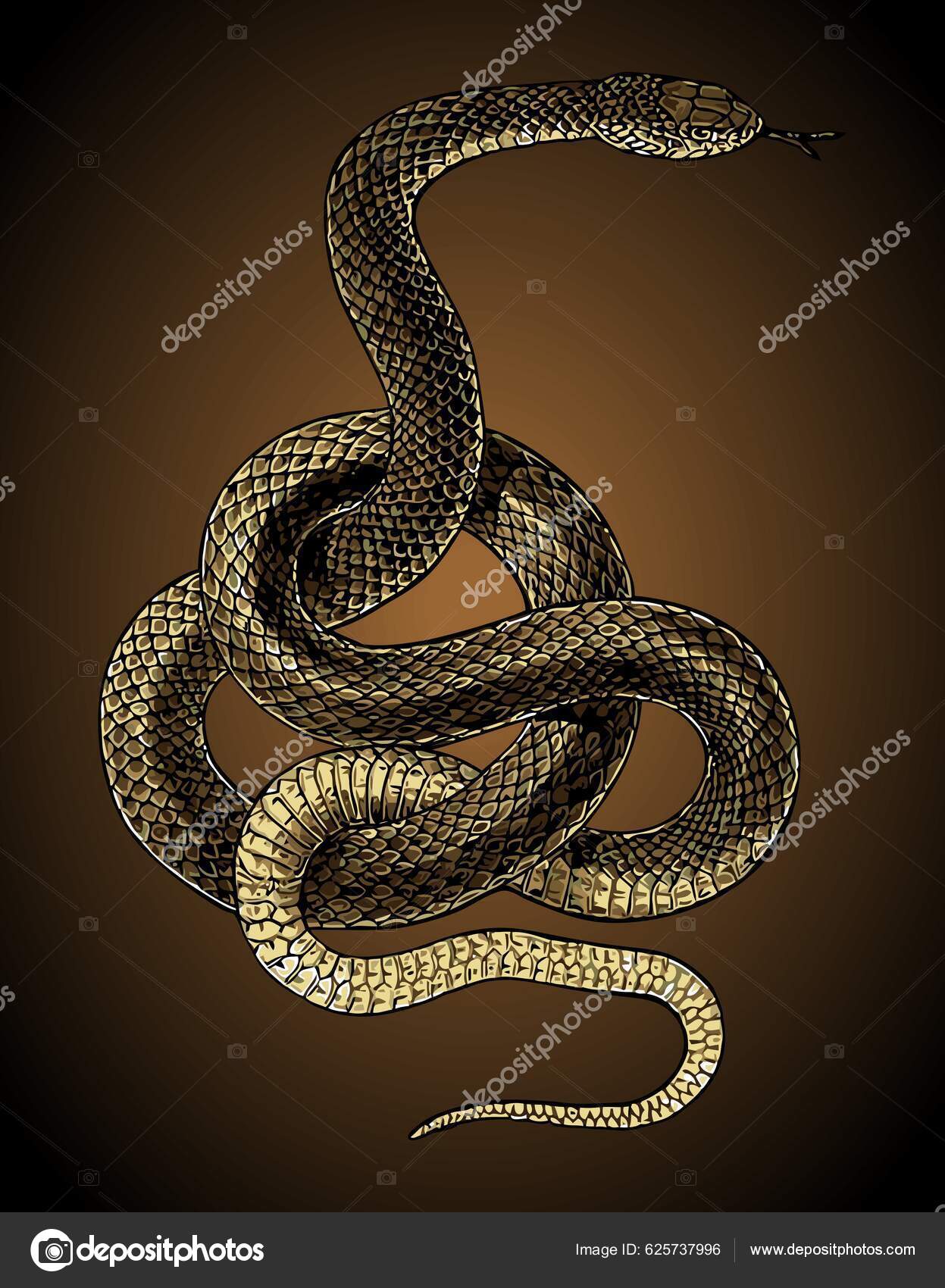Venomous Snake Wrapped Vector Template Stock Vector by ©jellybox 625737996