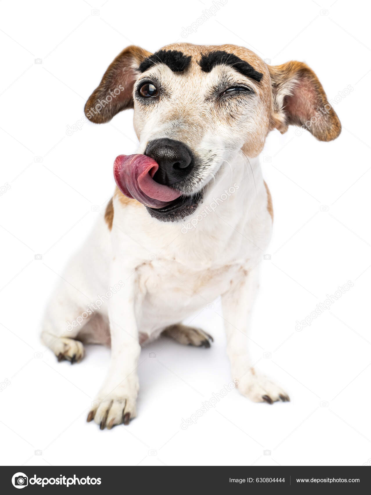 Cara De Meme Hambriento