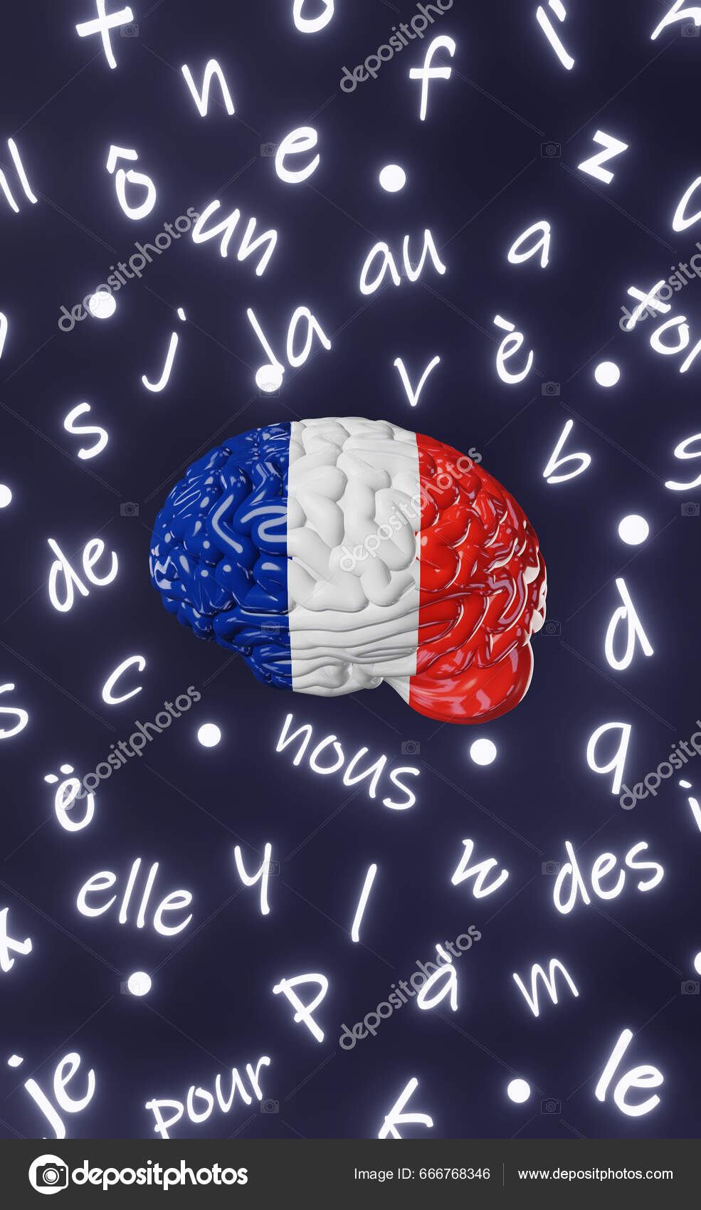 French Learning Foreign Language Fluency Improvement Human Brain ...