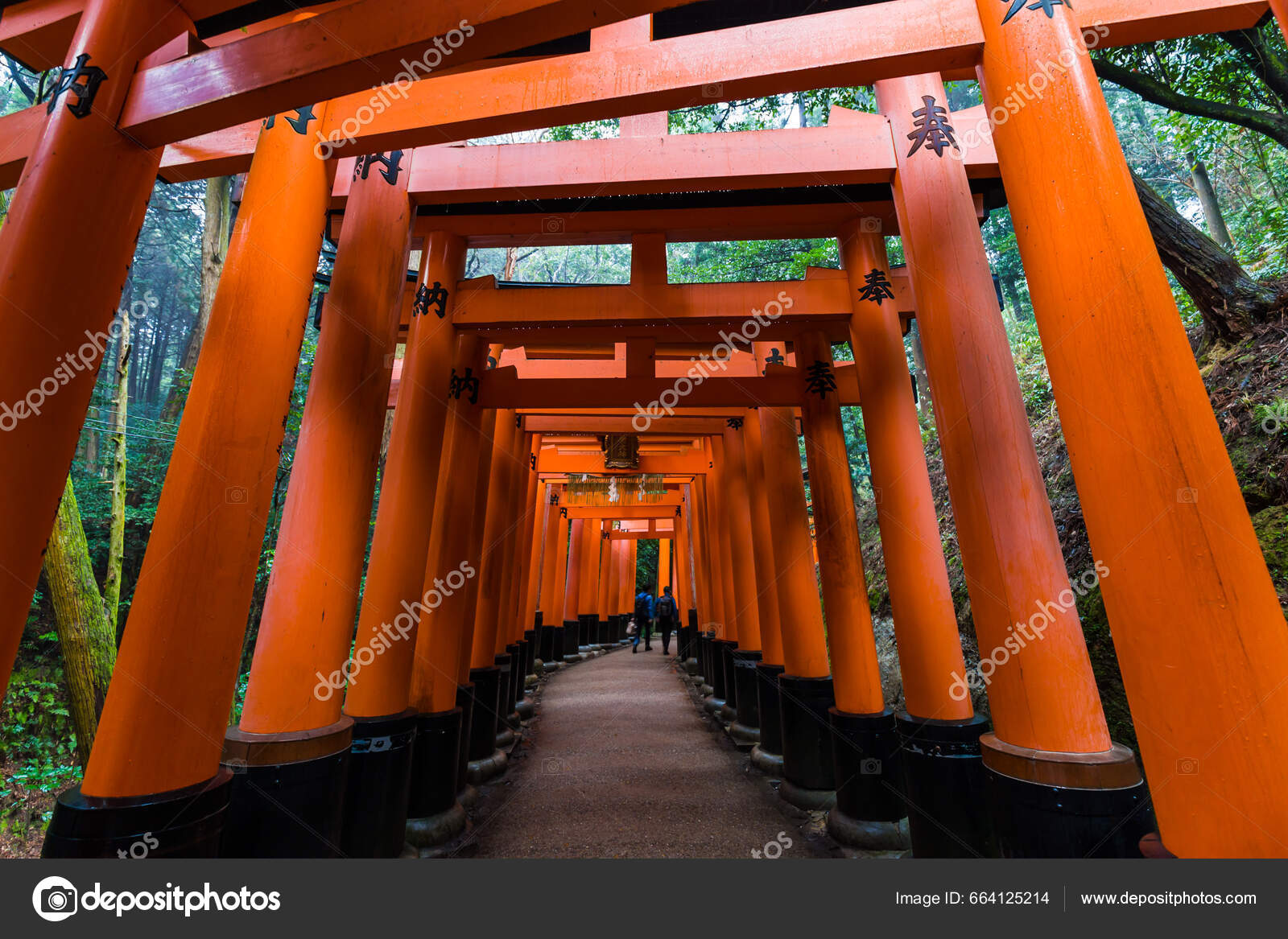Red Tori Gate Pathway Fushimi Inari Shrine Kyoto Japan — Stock Photo ...