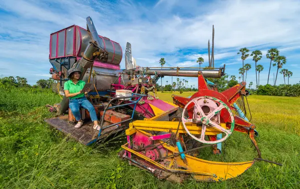 Modern farmer woman use tablet technology improve rice productivity in ...
