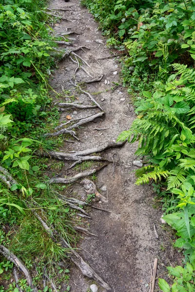 Grit pathway Stock Photos, Royalty Free Grit pathway Images | Depositphotos