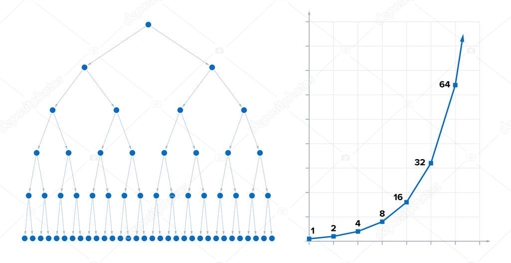 Fisión binaria y el poder de dos. División celular en biología, donde ...