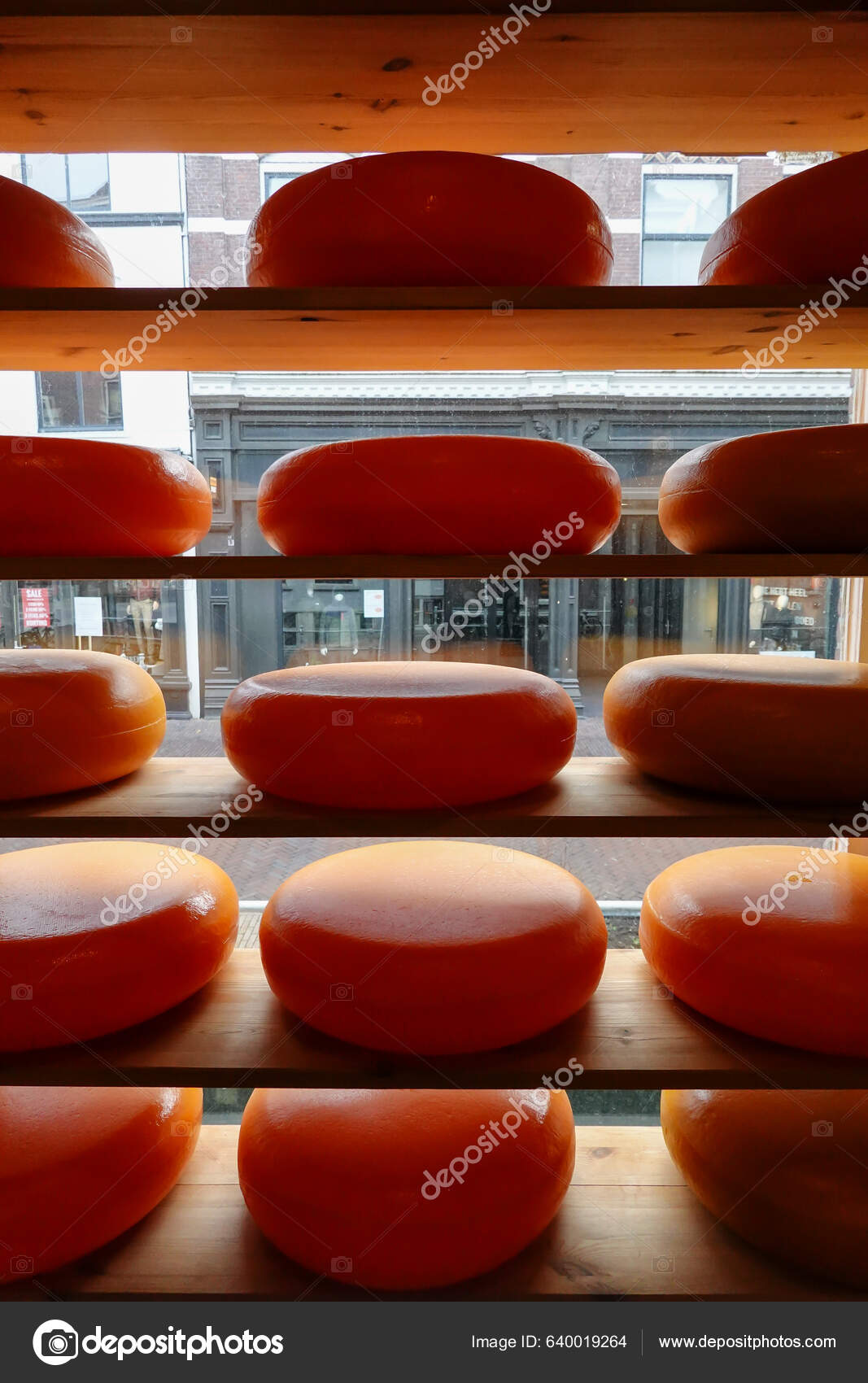 Delft Netherlands Dutch Gouda Cheeses Sitting Window Cheese Shop ...