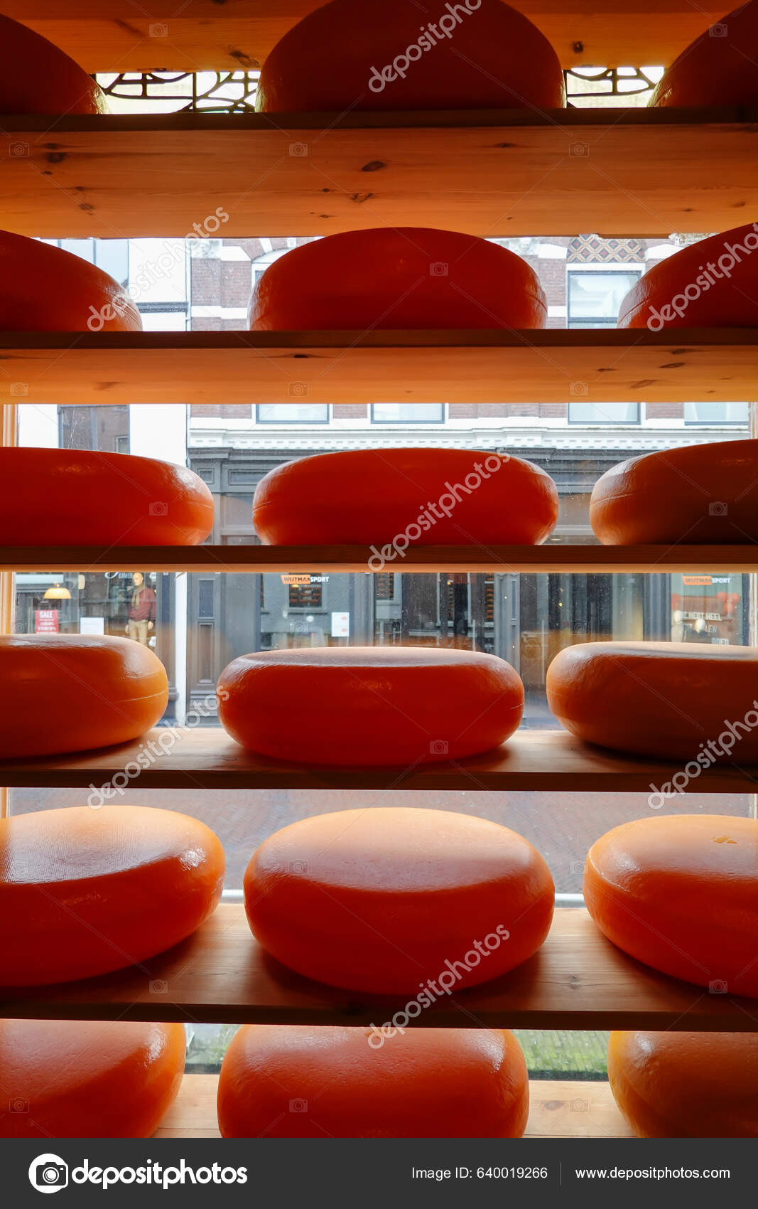 Delft Netherlands Dutch Gouda Cheeses Sitting Window Cheese Shop ...