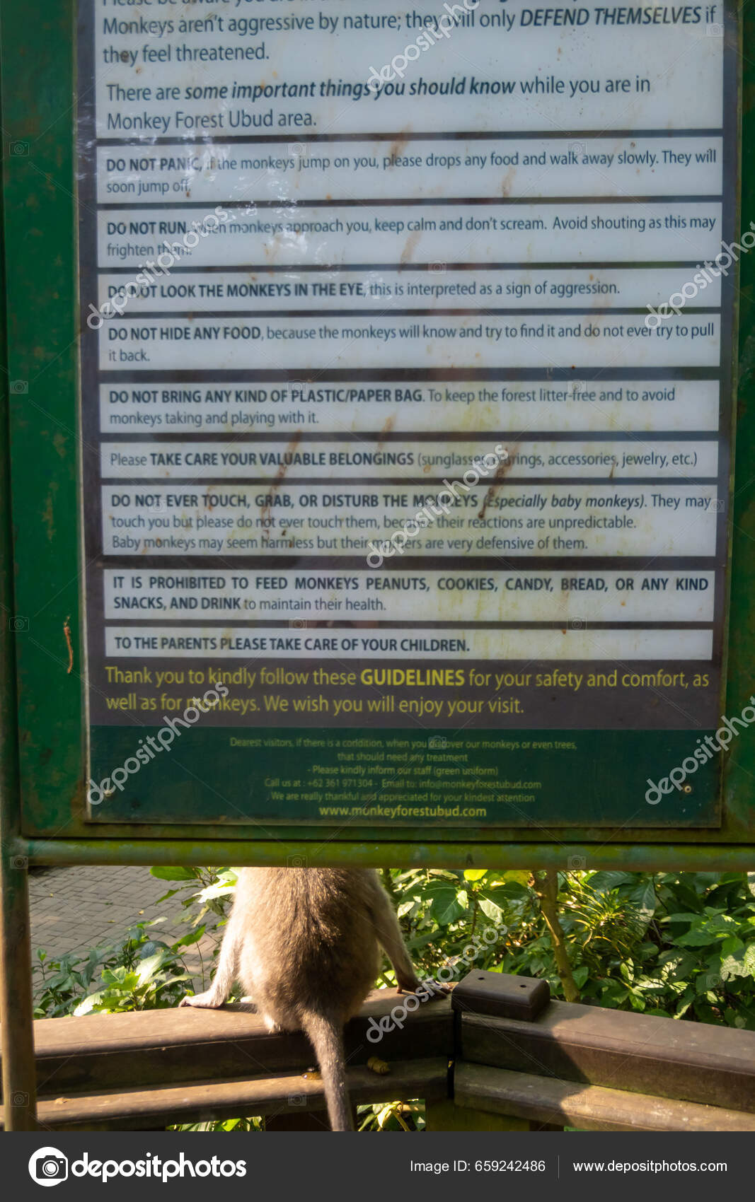 Ubud Bali Indonesia Tourist Guidelines Sign Monkey Landmark Monkey ...