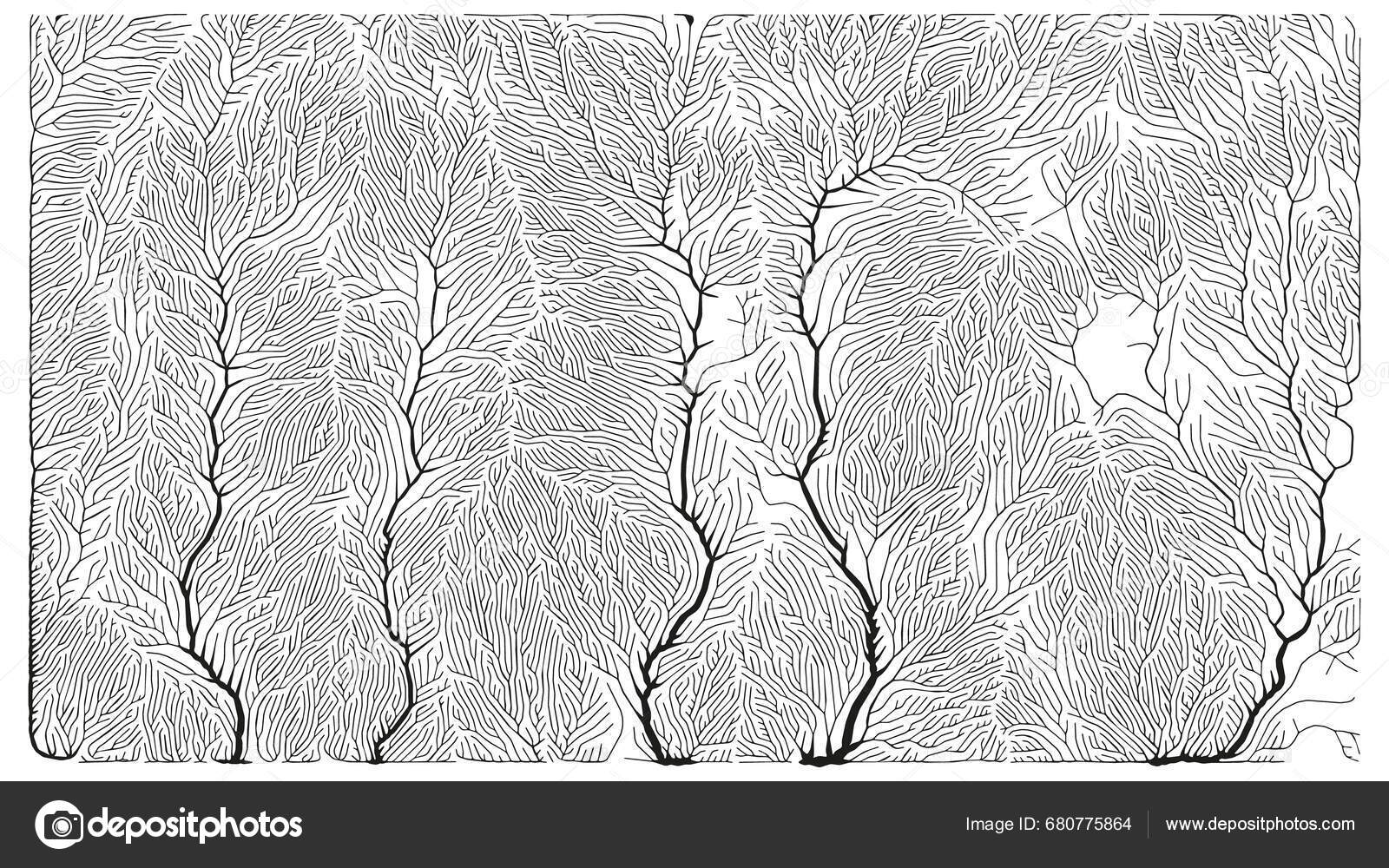 Growth Pattern Generative Branching Structure Organic Net Vessels Texture Stock Vector By