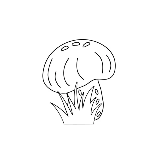 Rajz gomba fotos de stock, imágenes de Rajz gomba sin royalties ...