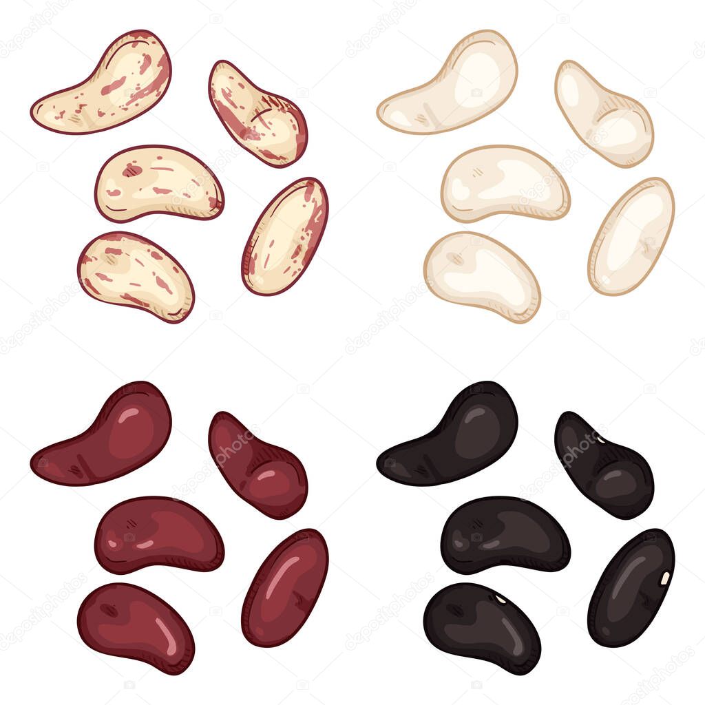 Conjunto Vectorial Frijoles Dibujos Animados Diferentes Colores Vector ...
